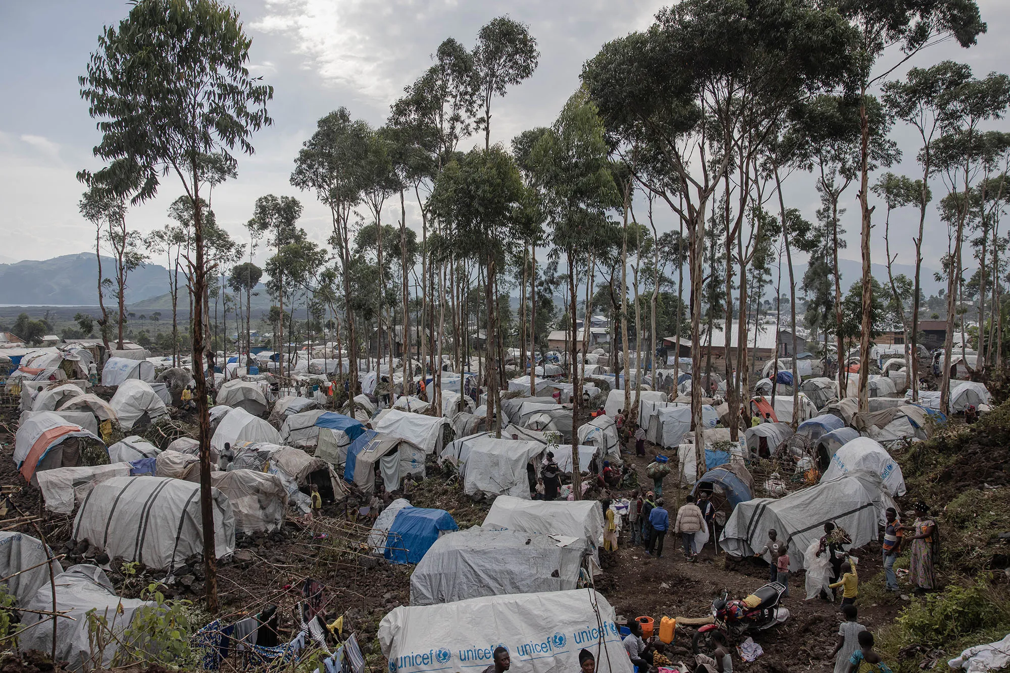 Congo Hunger Crisis: 40M Near Starvation Due to War, Disease, Climate ...