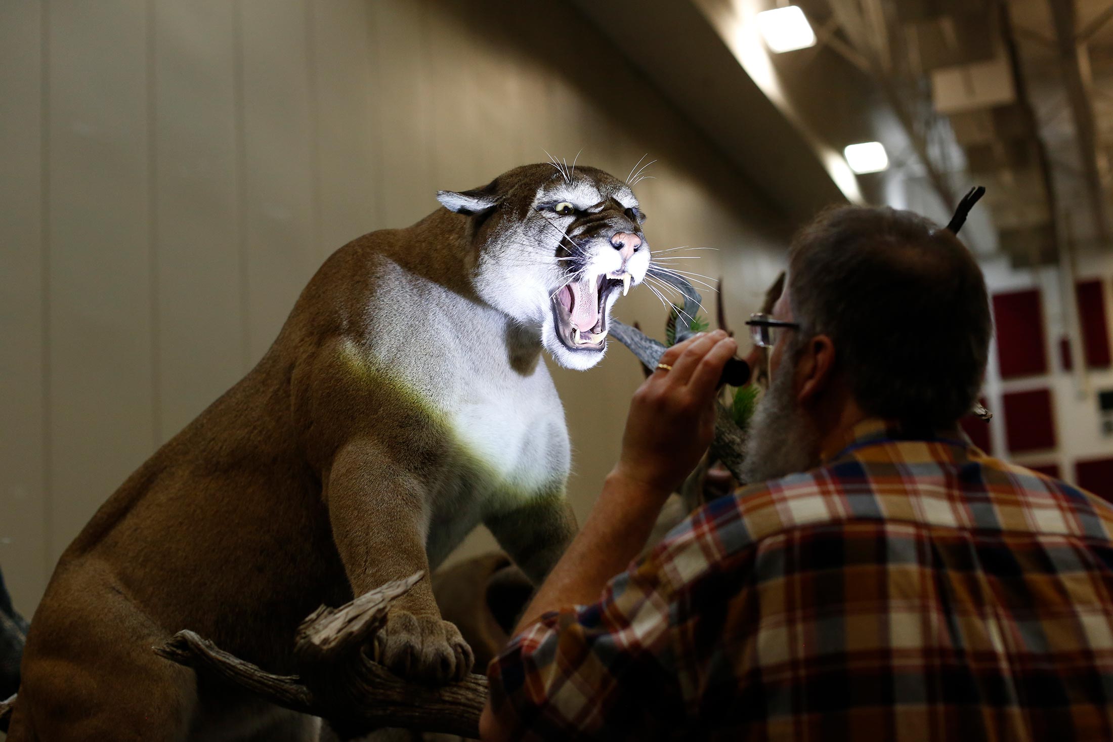 At the World Taxidermy and Fish Carving Competition - Bloomberg