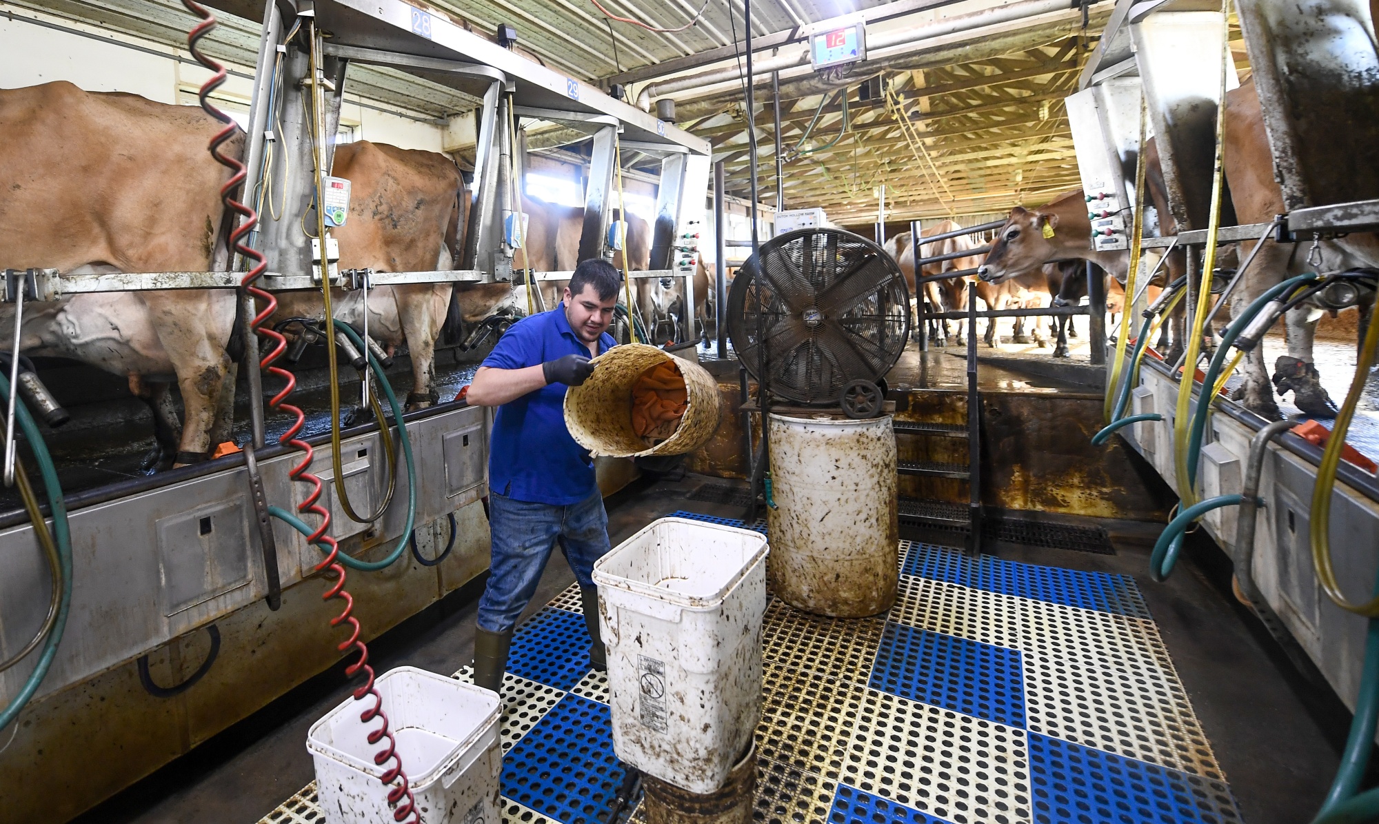 Pay Bumps Coming for More Farmworkers, Long Denied Overtime - Bloomberg