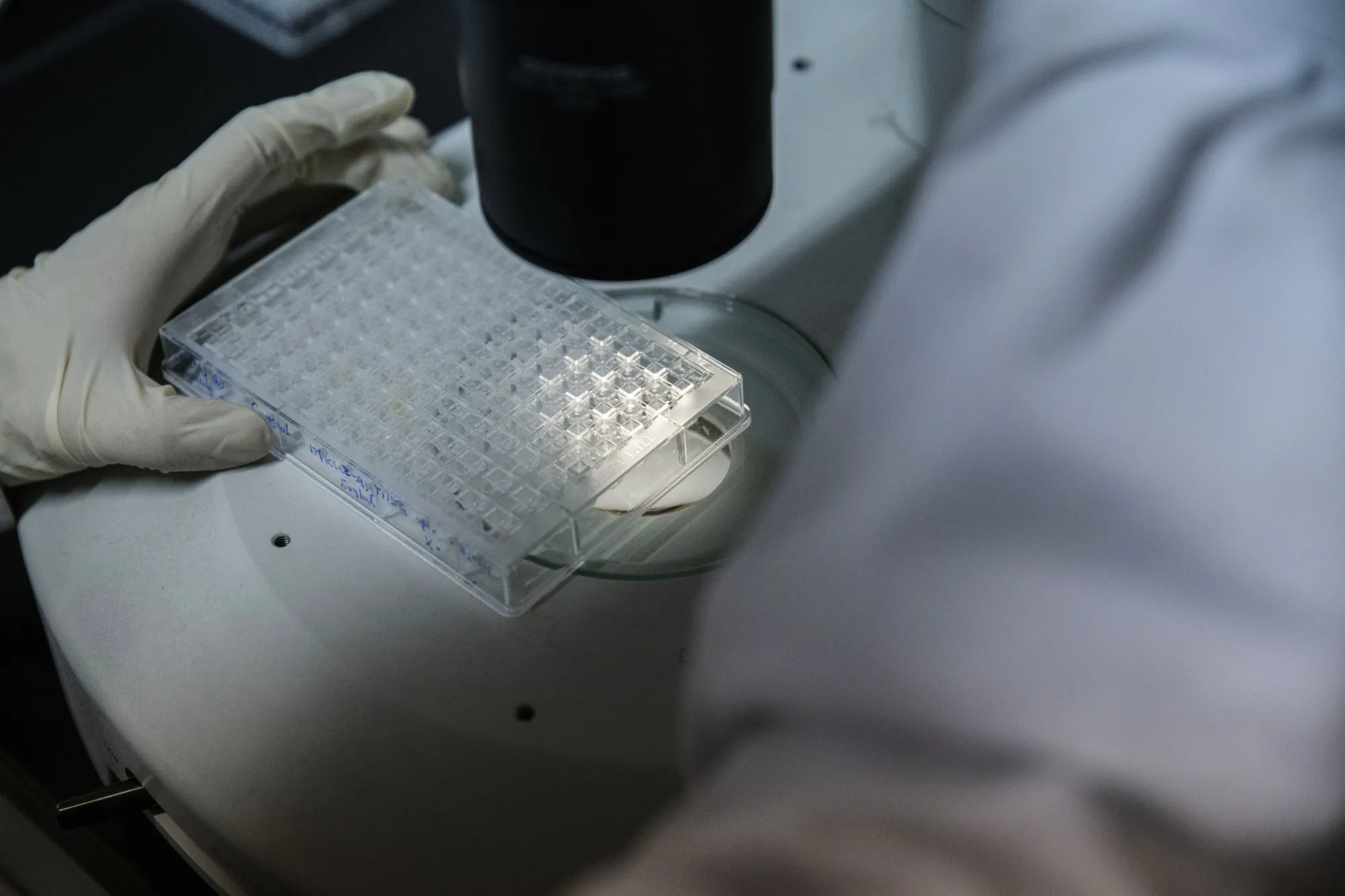 Global Biotech Giants Deepen Ties with China’s Drugmakers - Bloomberg