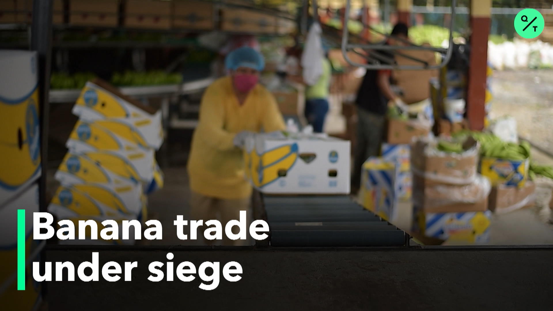 Watch Banana Trade Under Siege - Bloomberg