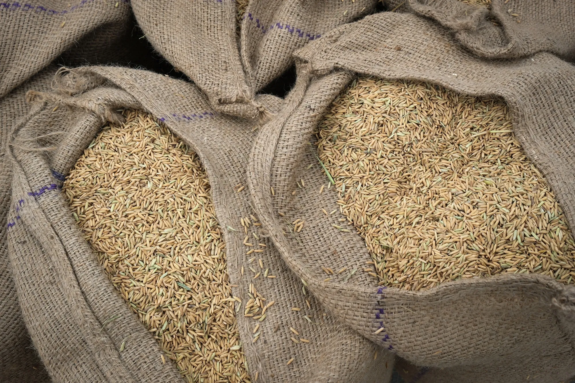 Rice Prices in Asia Edge Lower as Key Buyers Seek to Build Stockpiles ...