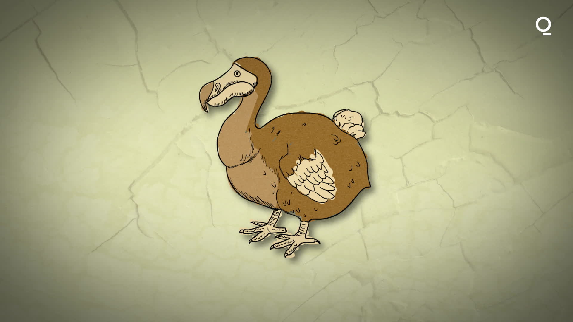 Watch A Billion Dollar Startup Wants to Bring Back the Dodo - Bloomberg