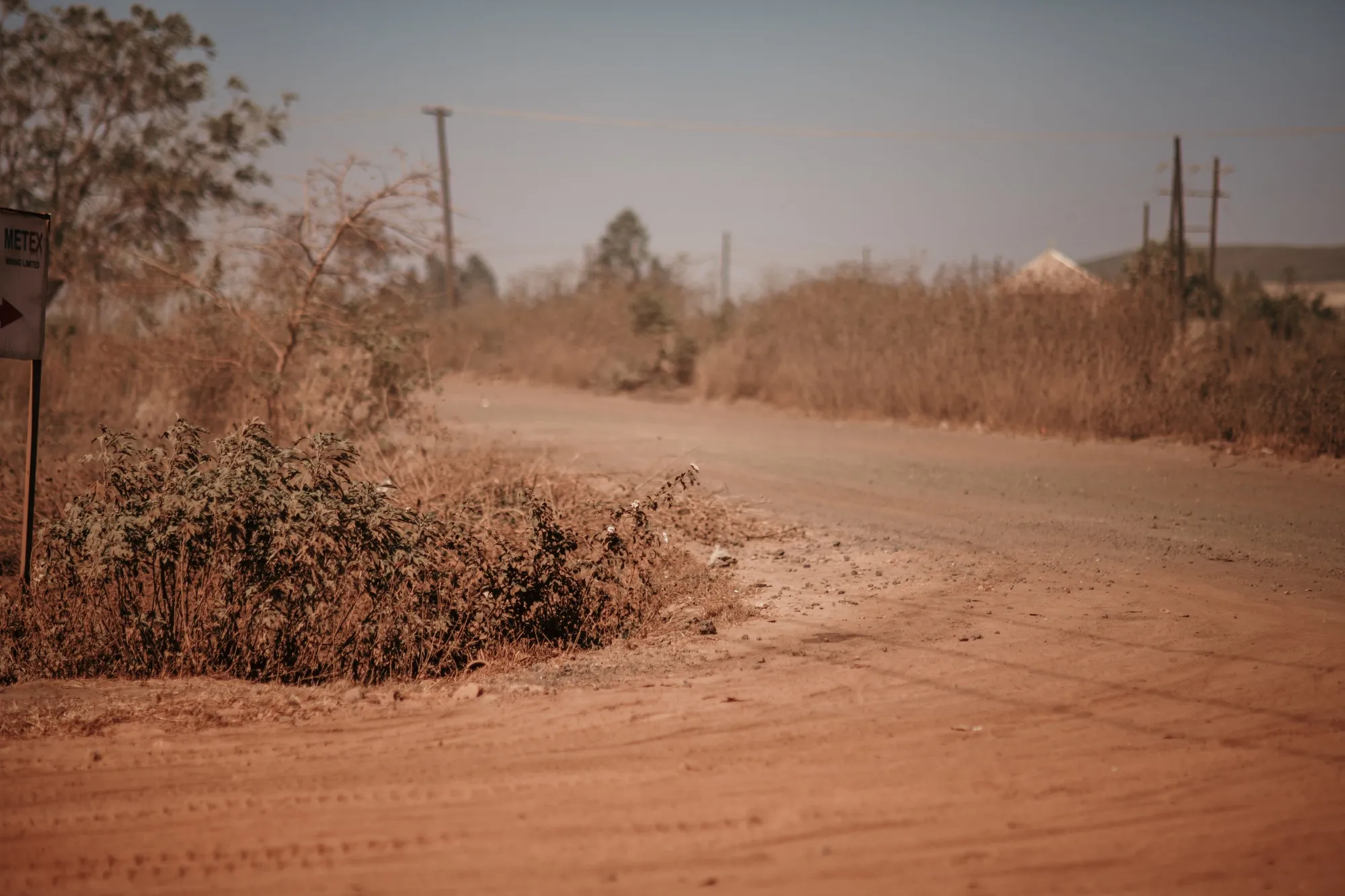 Anglo American Knew of Lead Danger at Zambian Mine, Doctor Says - Bloomberg
