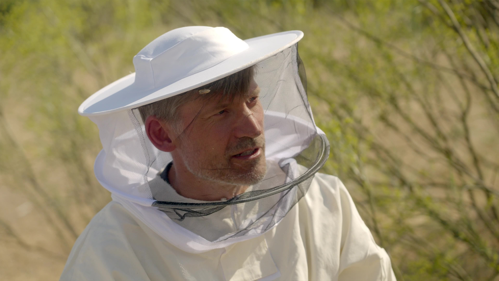 Watch Regenerate: Nature Can Help Heal the Planet | An Optimist’s Guide ...