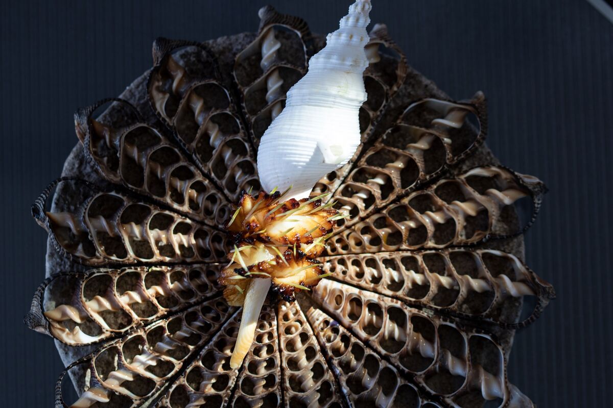 Seven Food Entrepreneurs Leading the Way in Eco-Conscious Dining ...