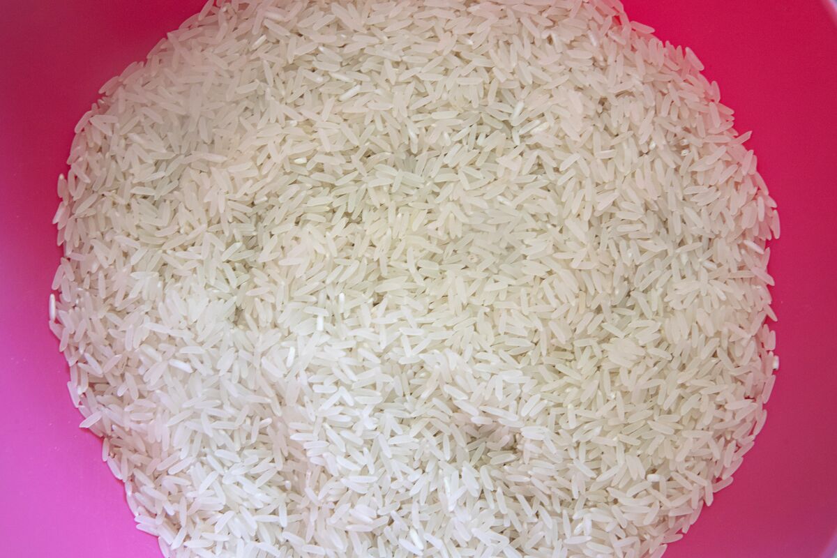 China Expands Salt-Tolerant Rice Tests to Use More Degraded Land ...