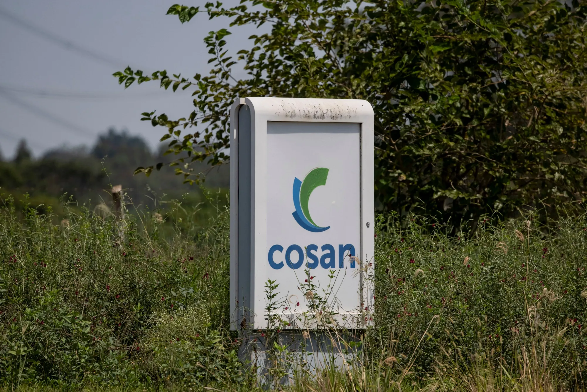 Compass, da Cosan, tenta encerrar jejum de IPOs na B3 - Bloomberg