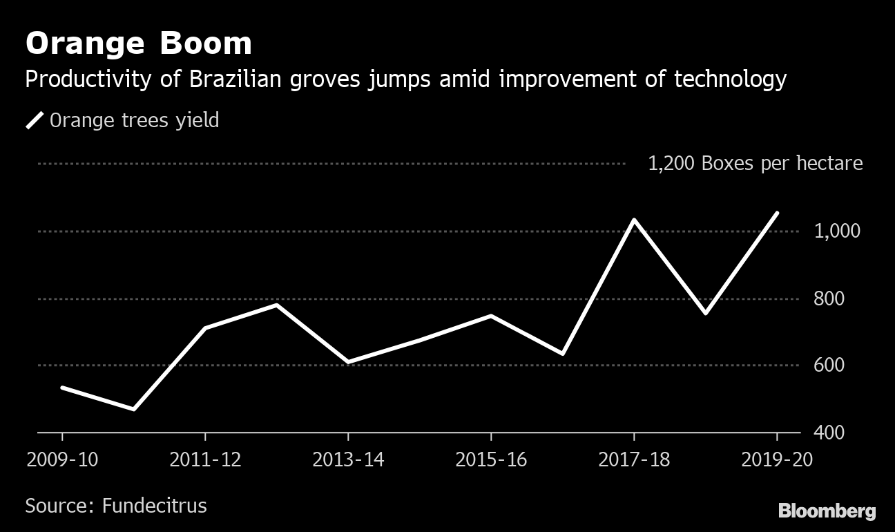 Orange Juice Prices Fall as Crops Recover From Deadly Disease - Bloomberg