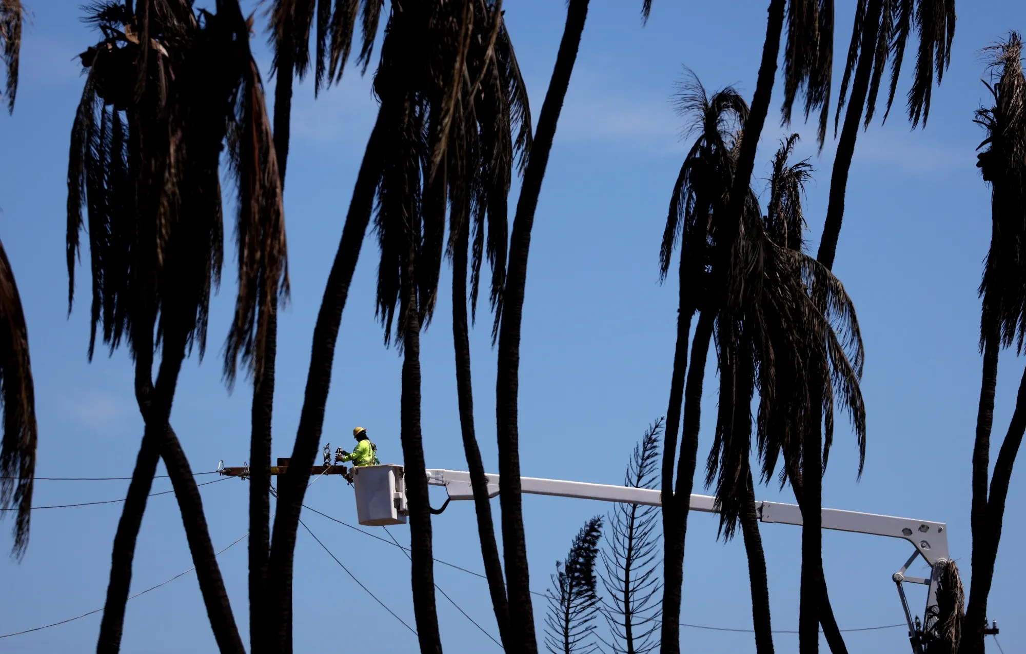 Lahaina Fire Caused by Broken Utility Power Lines, Report Finds - Bloomberg