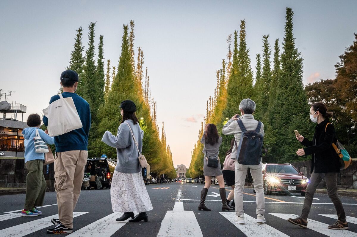 Climate Change, Mass Redevelopment Spur Activism to Protect Trees in ...