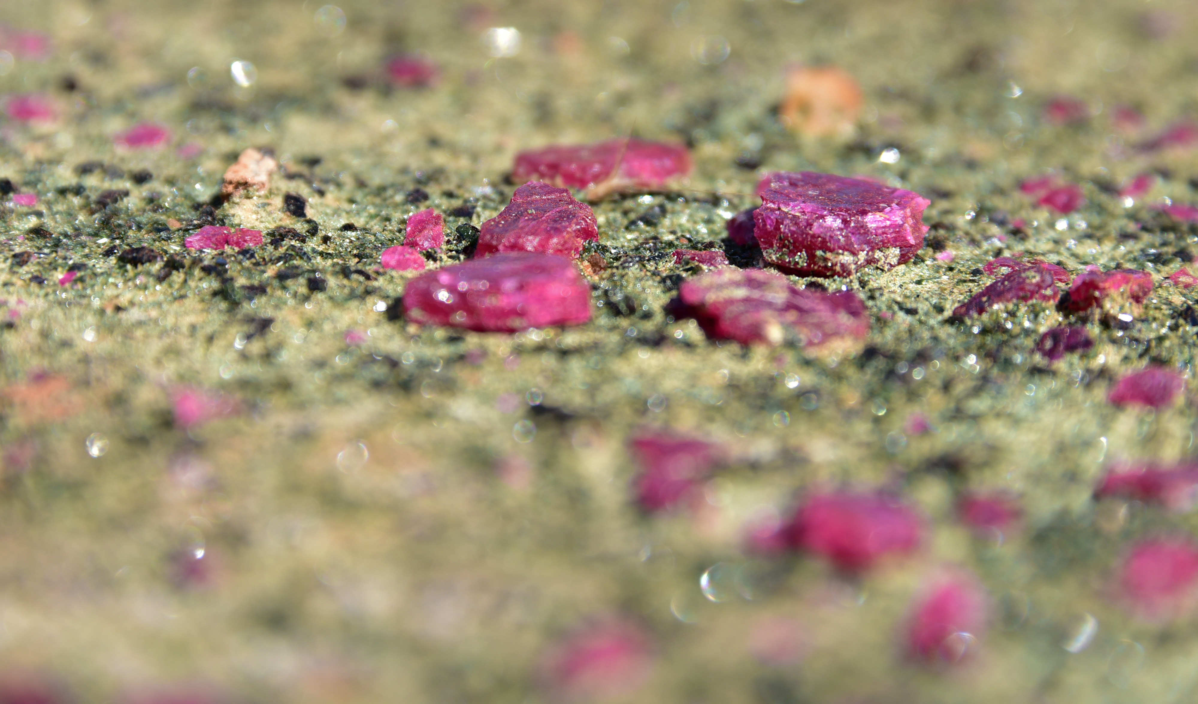 Mozambique's Ruby Mining Goes From ‘Wild West’ to Big Business - Africa ...