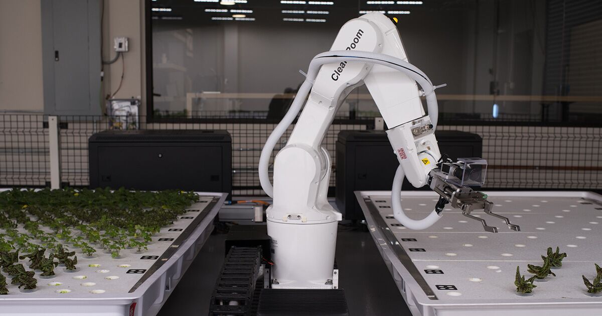 Lettuce-Farming Robots Might Grow Your Next Salad - Bloomberg