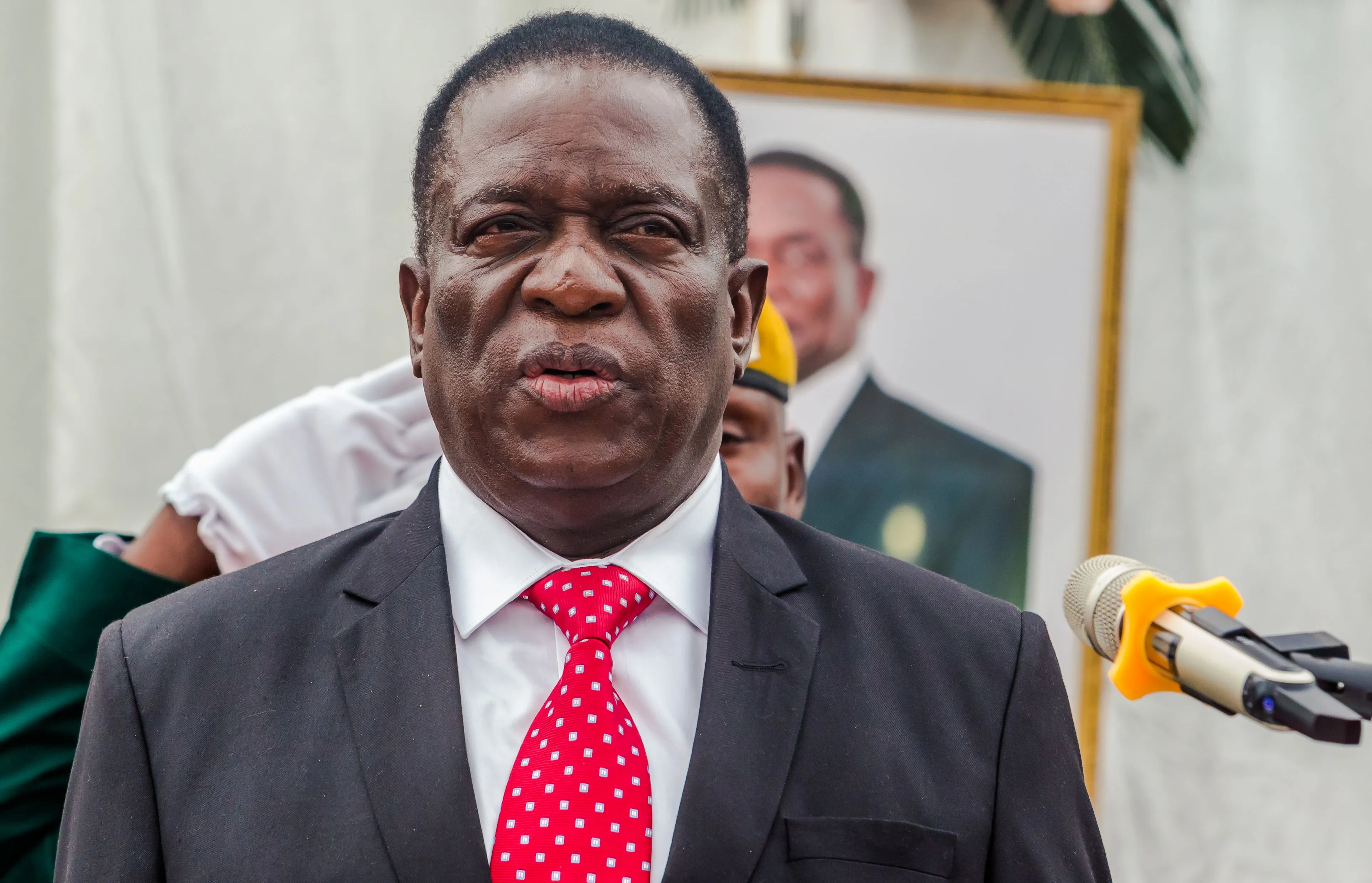 White Zimbabwean Farmer Has Land Returned Under New Government - Bloomberg