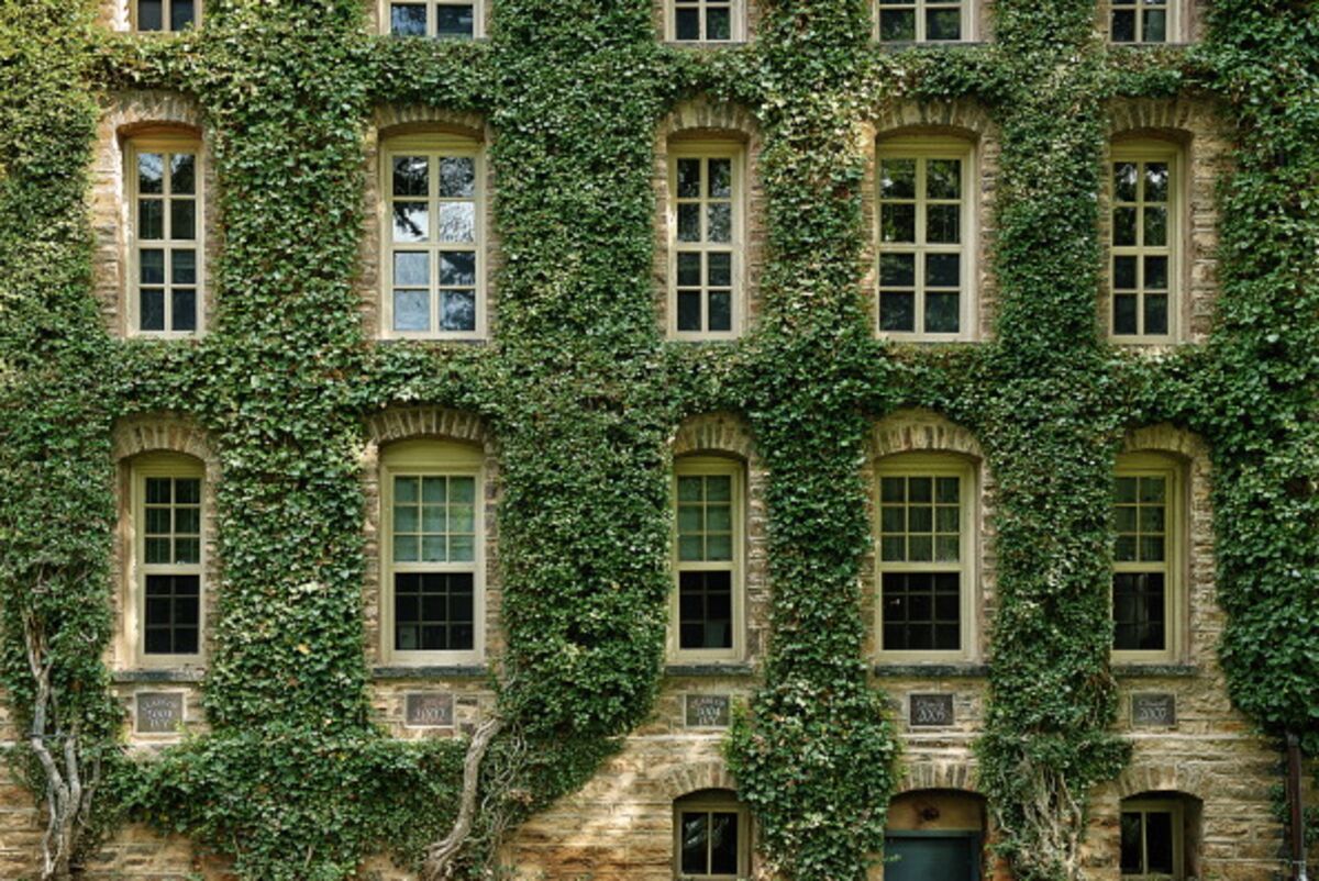 Colleges Have Way Too Many Liberal Professors Bloomberg