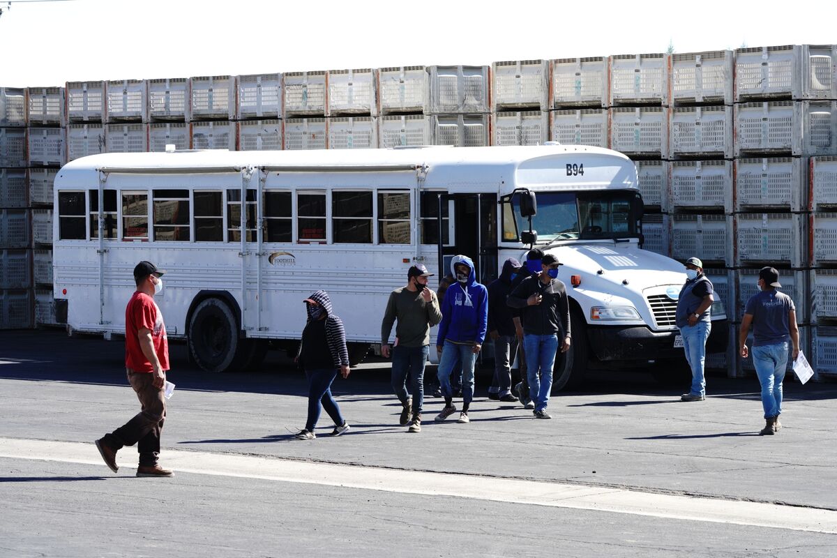 Mobile Vaccine Units Offer a Lifeline - Bloomberg