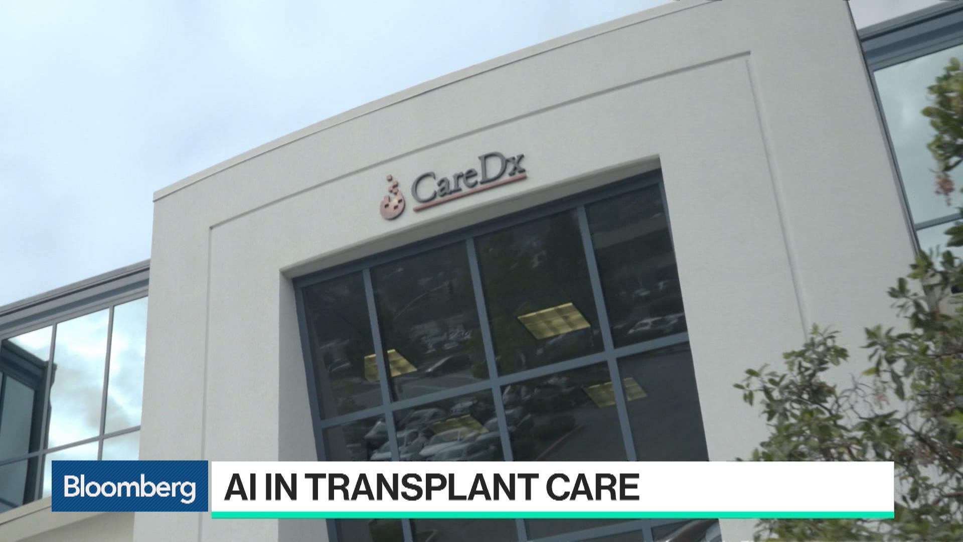 Watch CareDX CEO on AI's Role in Helping Improve Organ Transplant Care ...