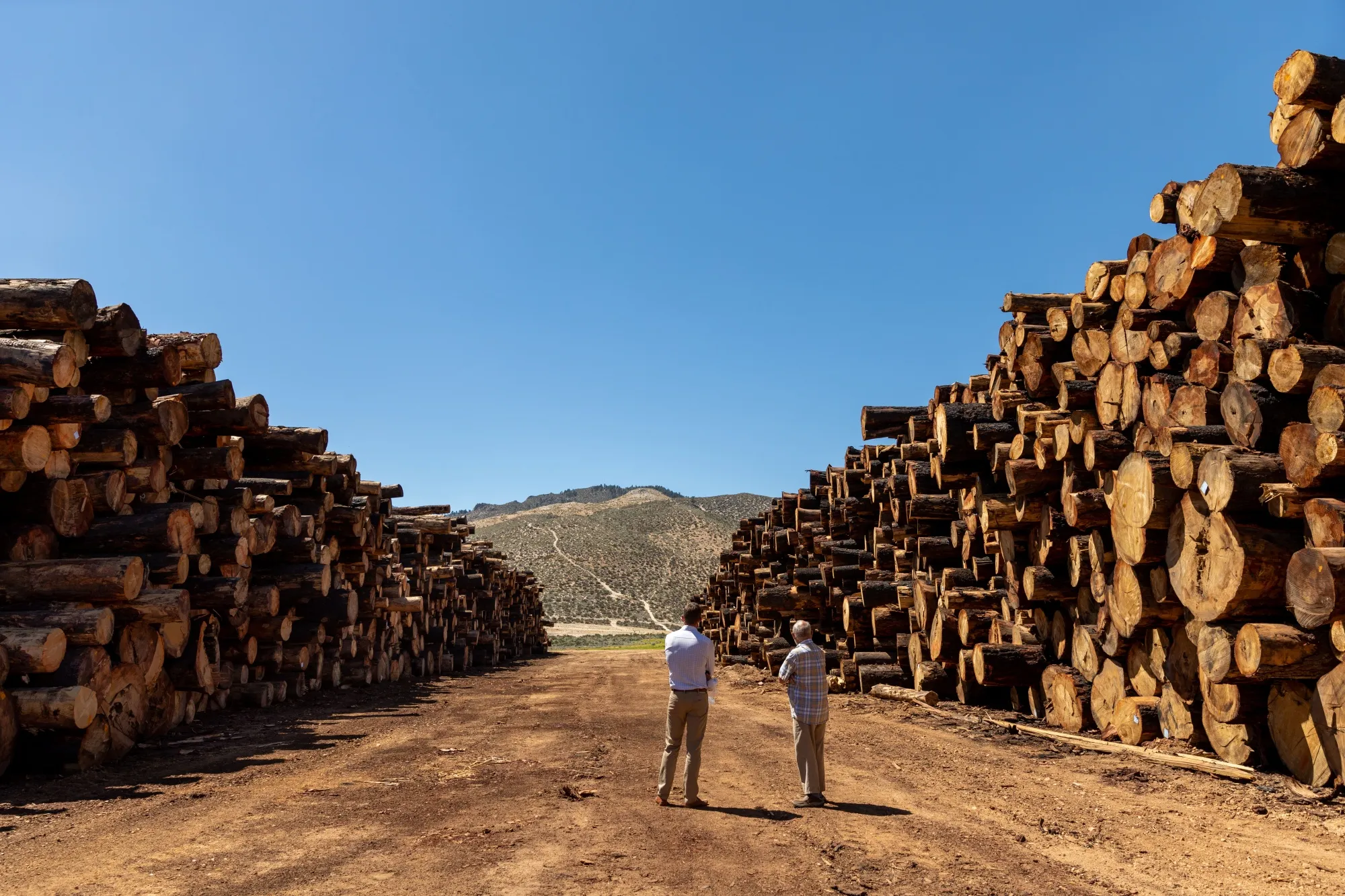 US Lumber Prices Set for Further Increases After Trump Tariff Threat on ...