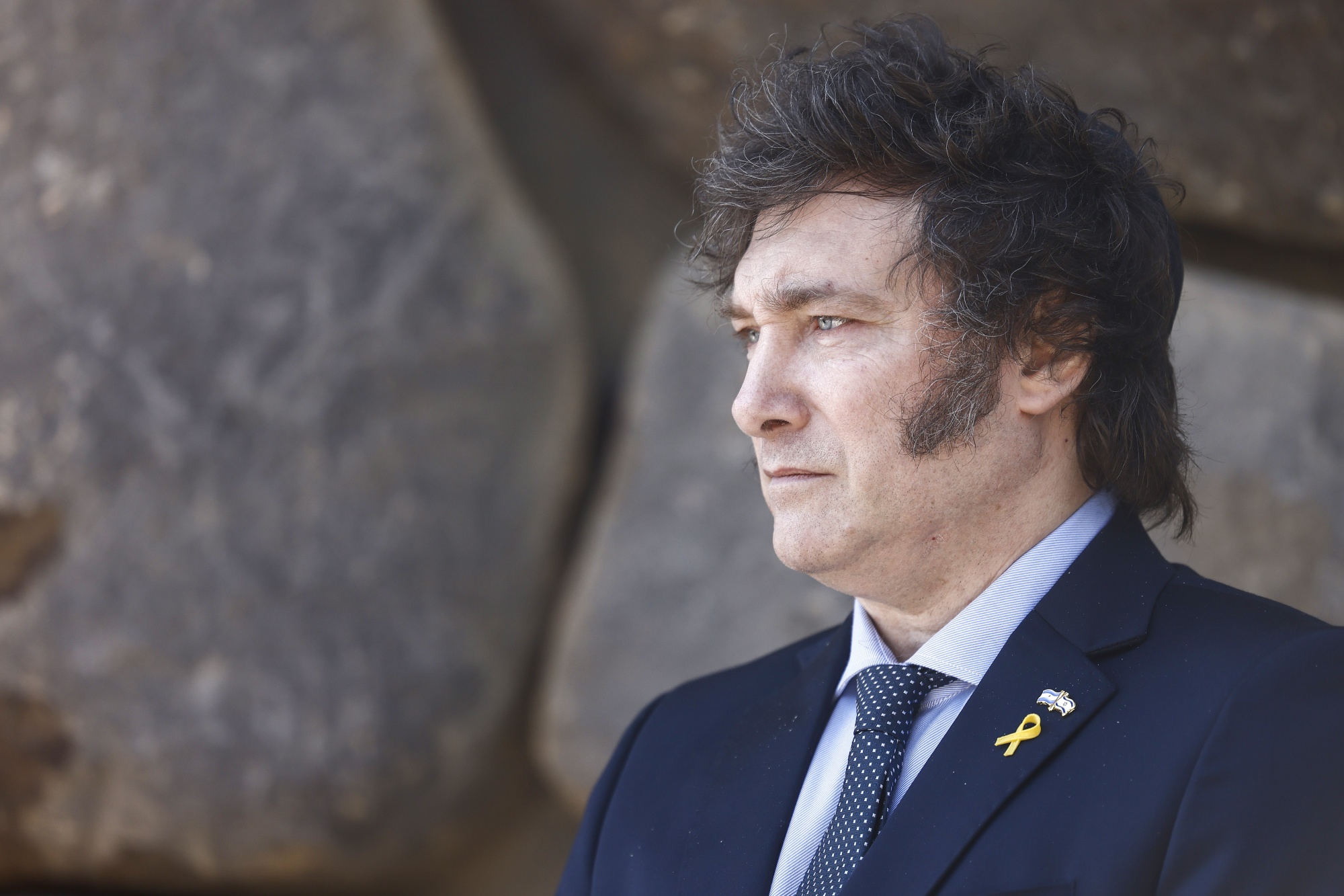 Argentina’s Senate Poses Fresh Challenge to Milei’s Reform Bills ...