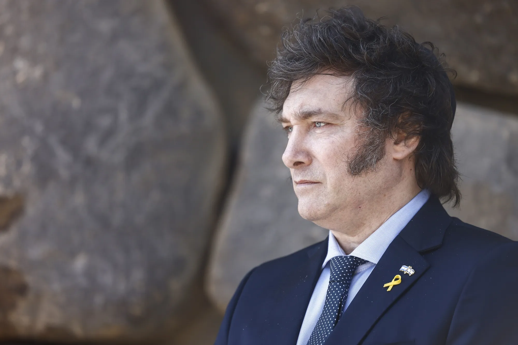 Argentina’s Senate Poses Fresh Challenge to Milei’s Reform Bills ...