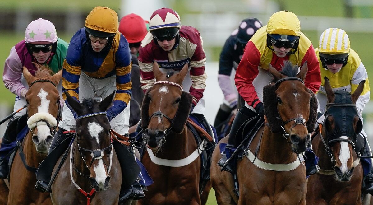 Flutter Entertainment Results Show We're All Gamblers, From Sports to ...