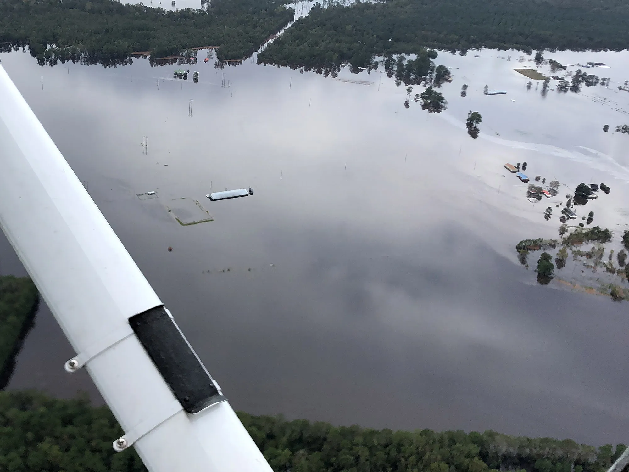 Several North Carolina Hog-Waste Lagoons Flooded by Hurricane - Bloomberg