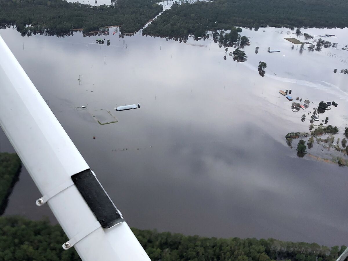 Several North Carolina Hog-Waste Lagoons Flooded by Hurricane - Bloomberg