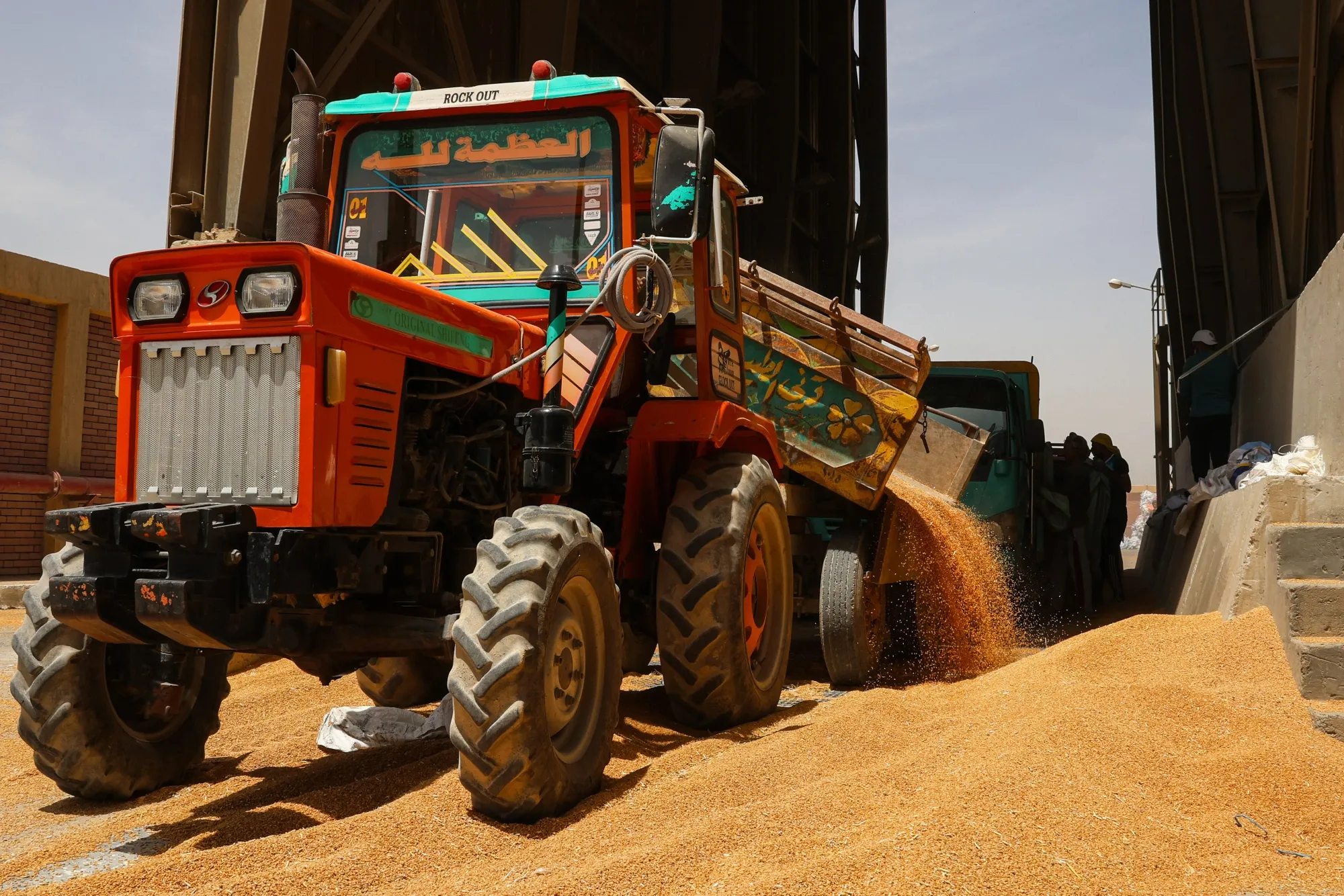 Egypt Looks to Buy Up to 3.8M Tons of Wheat With Prices Near Four-Year ...
