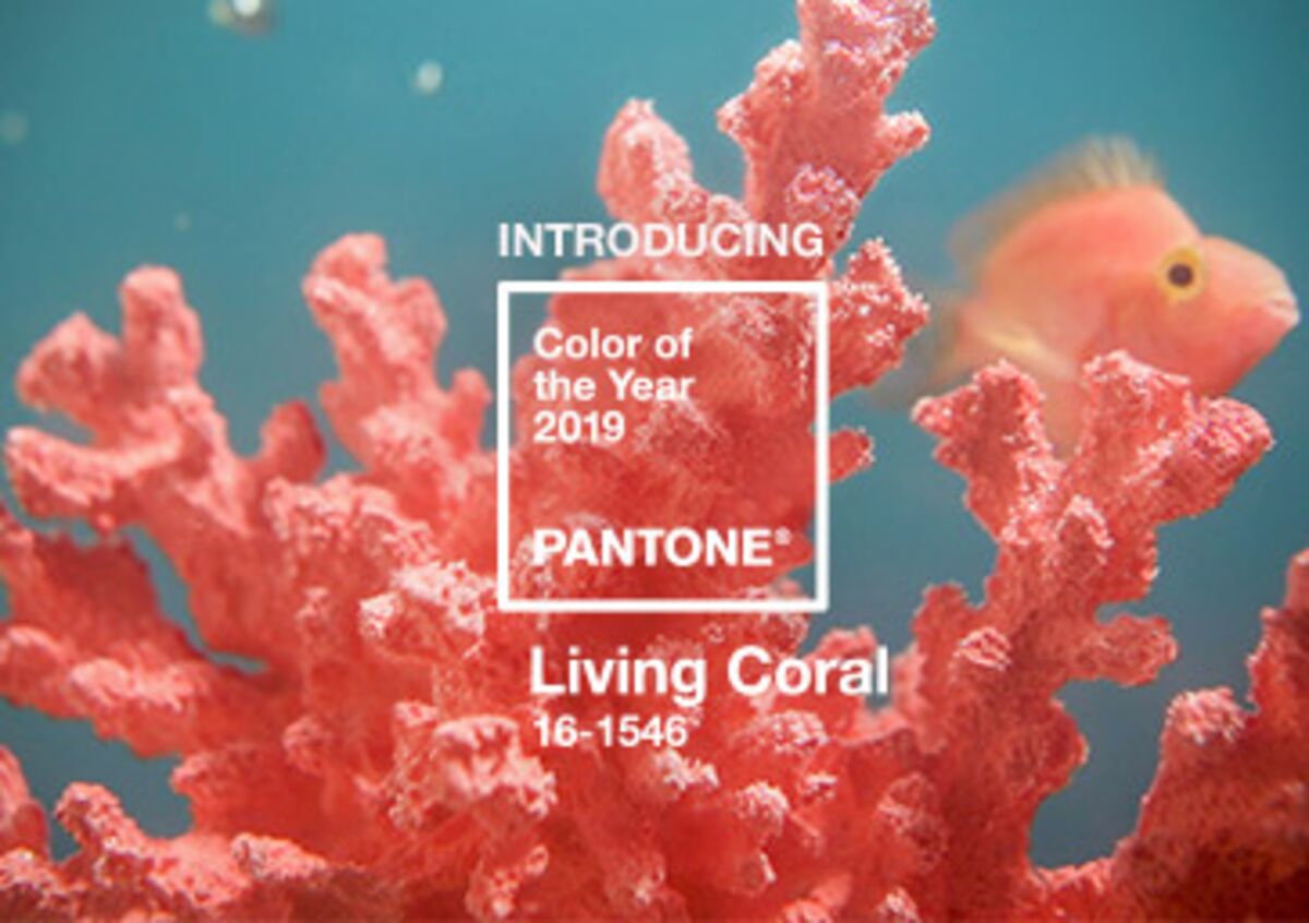 Sea Reefs And Sunsets: Living Coral Is Color of the Year - Bloomberg