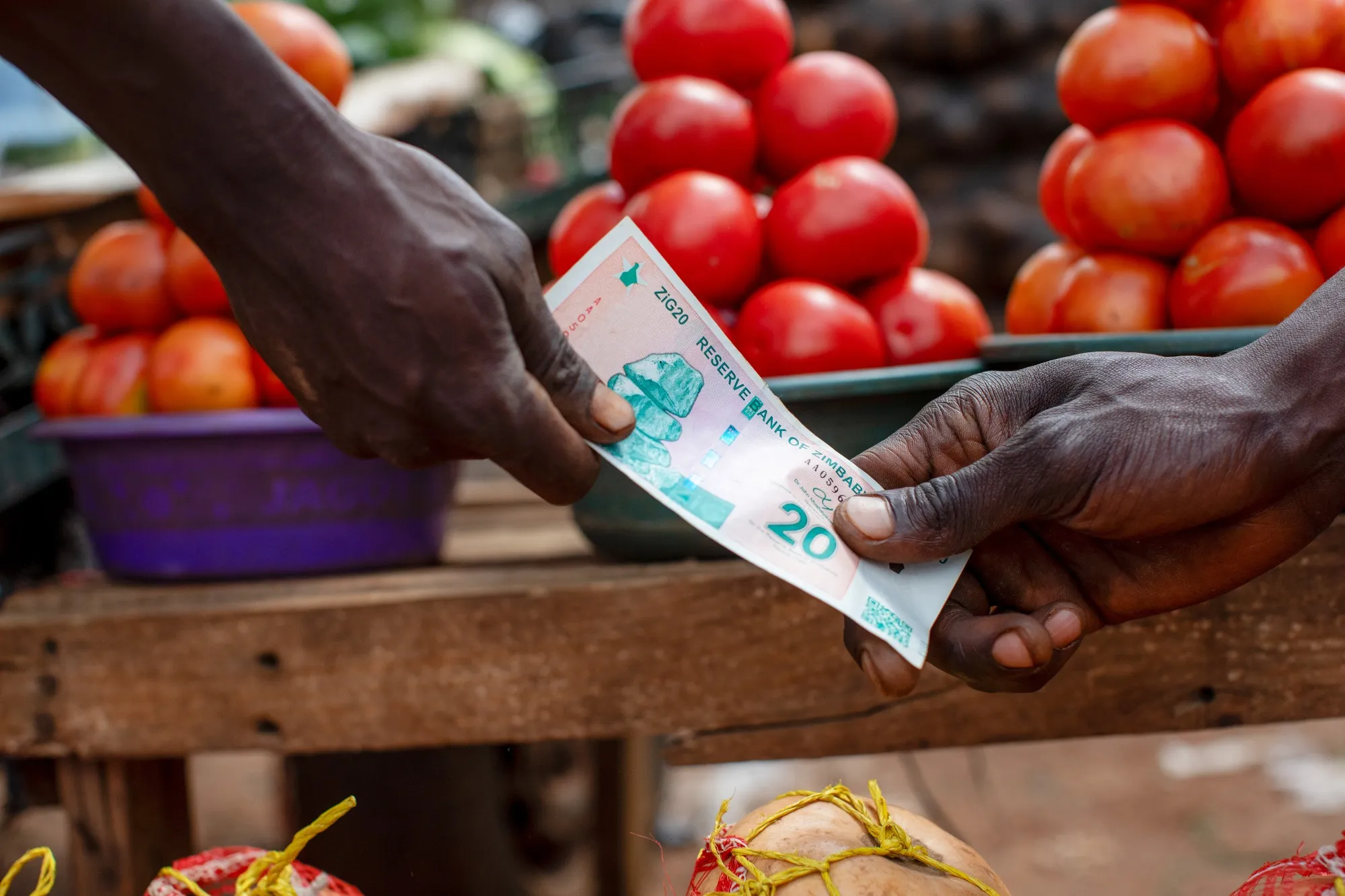 USD/ZWG: Zimbabwe Central Bank Outlines Plans for ZiG Sole Currency Use ...