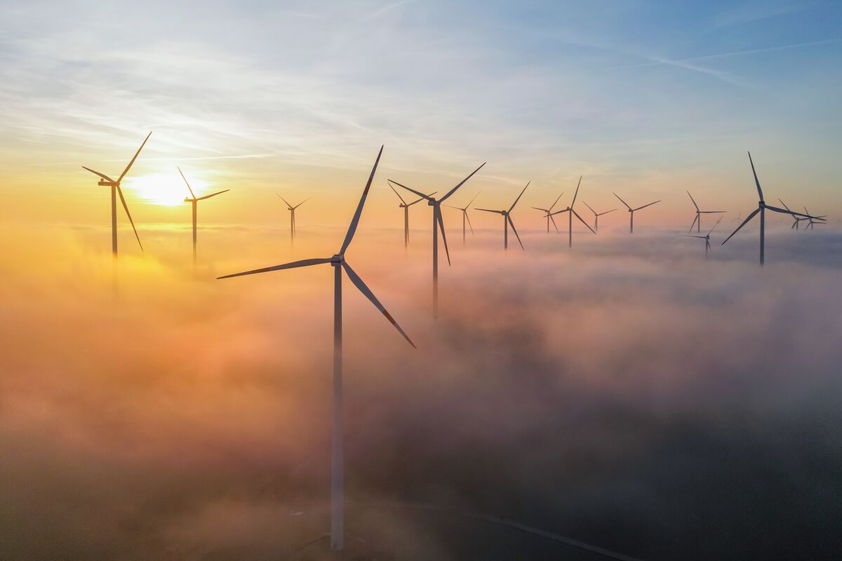 Good Climate News 2025: Investments, Innovations and Policy - Bloomberg