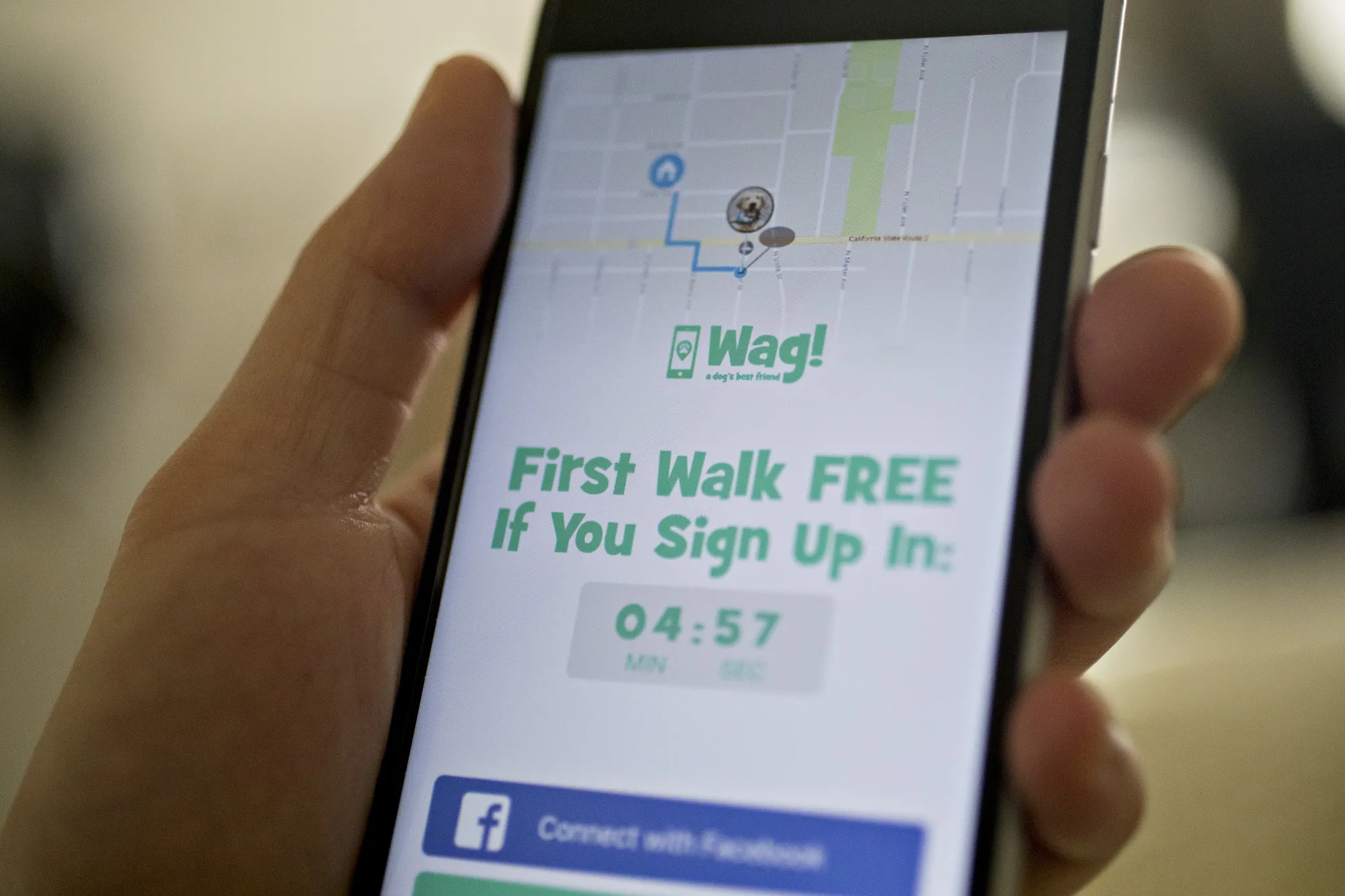 Who Owns Wag? Not SoftBank After New Stock Sale - Bloomberg