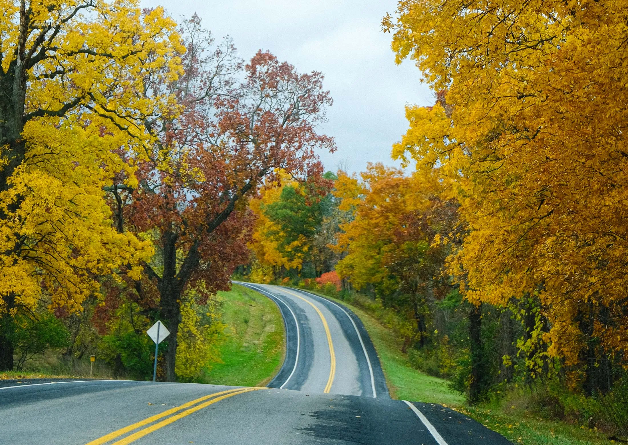 Fall Preview 2023: Best Places to See Fall Foliage Change Colors ...