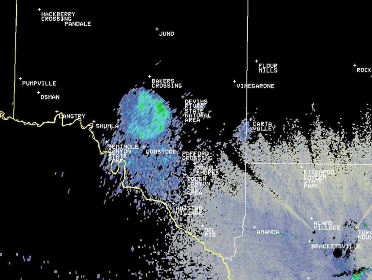 Radar Spots Massive Swarms of Bats Over Texas - Bloomberg