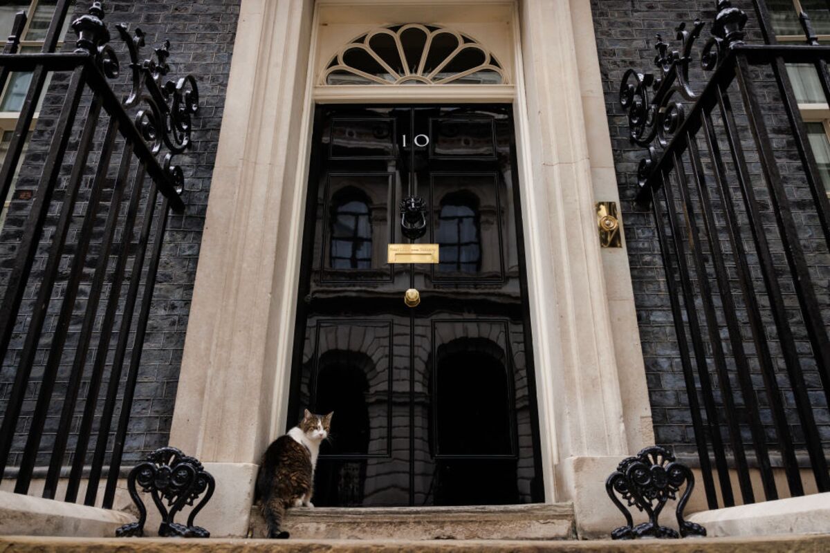 Brooke Sample - Journalist Profile - Intelligent Relations