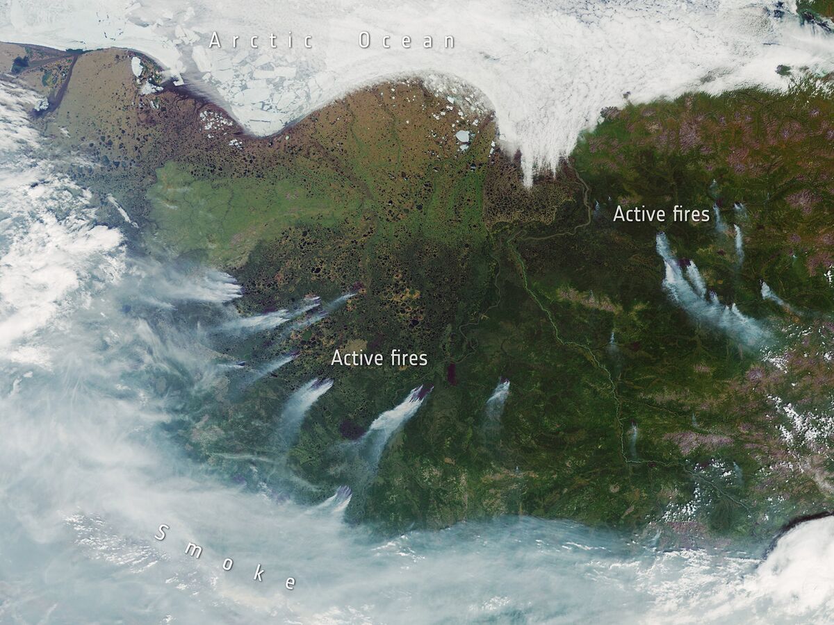 ‘Zombie Fires’ in the Arctic Pump Out Carbon at Record Pace - Bloomberg