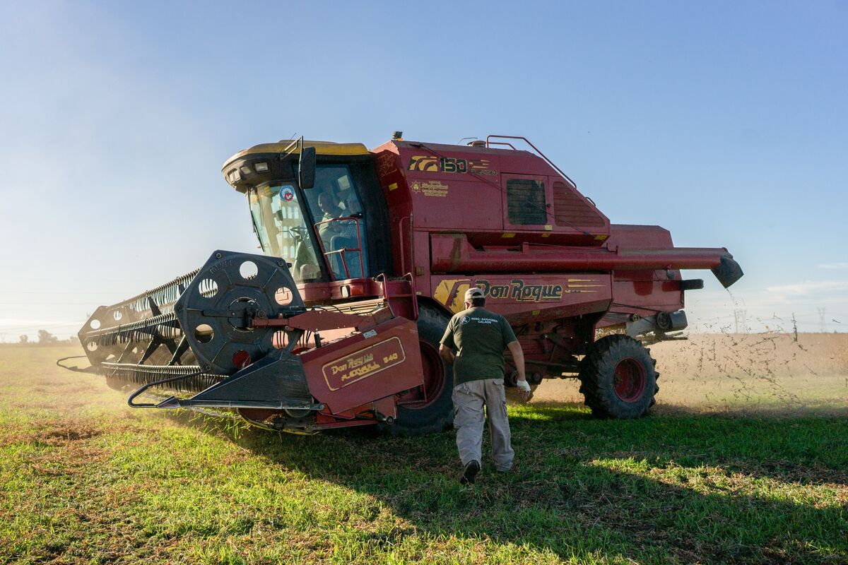 A Stock Trader’s Guide to Navigating a Rare ‘Super El Niño’ - Bloomberg