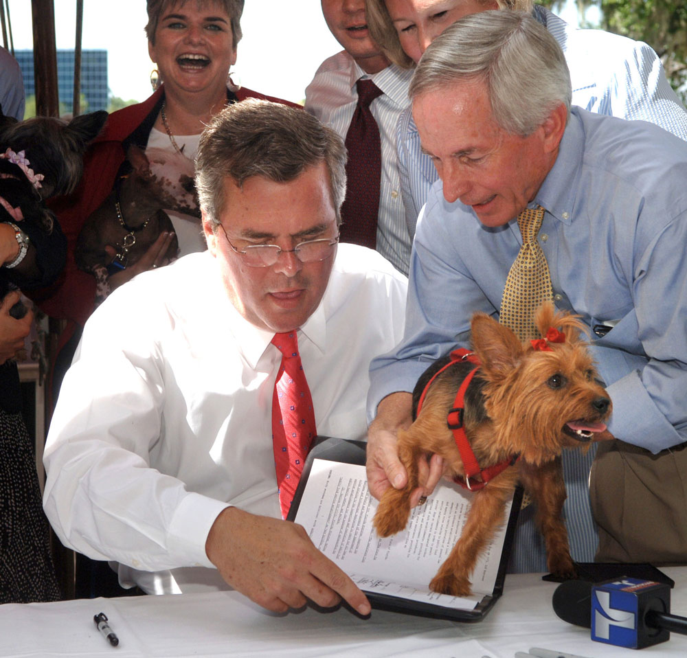 Jeb Bush's Dog, Explained - Bloomberg