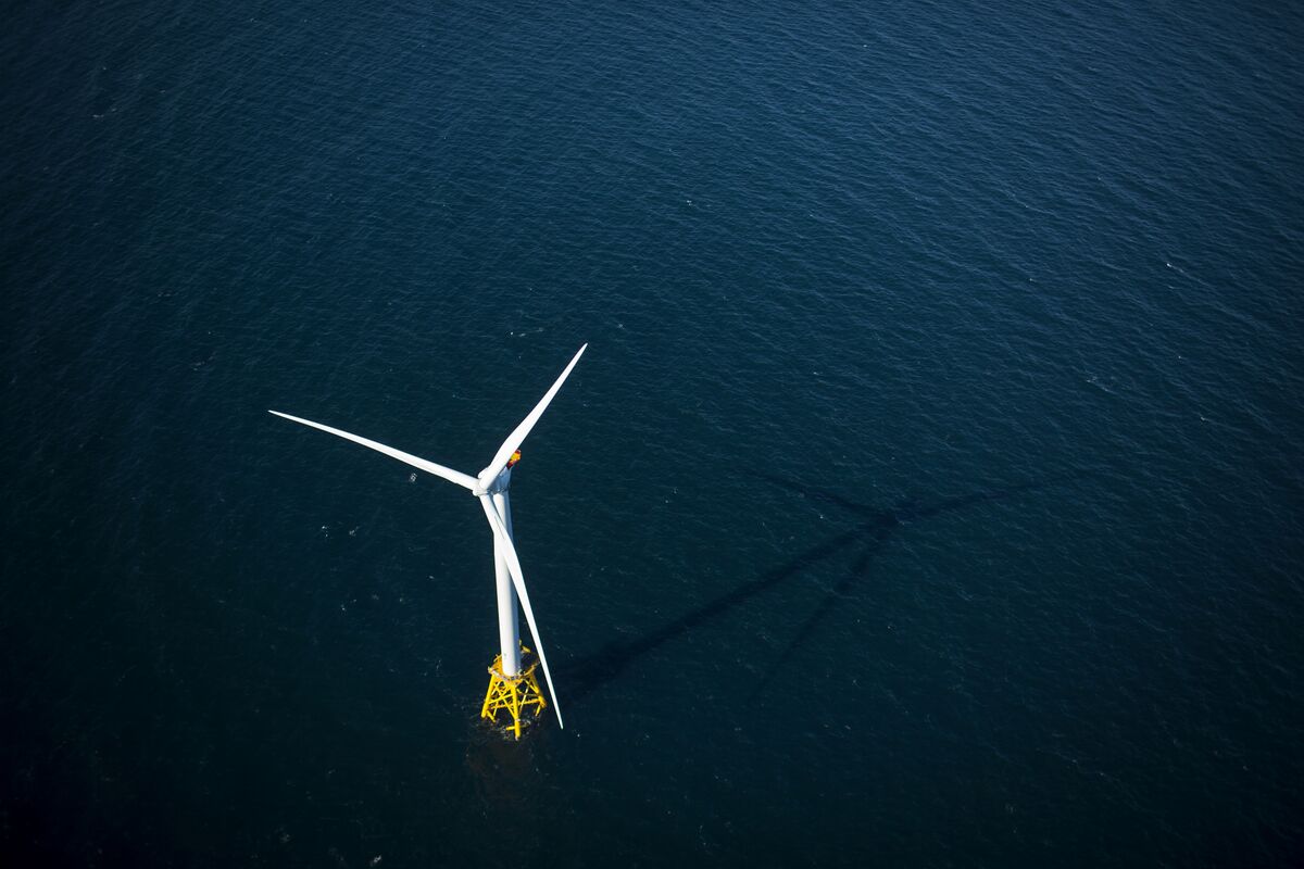 US Ignored Own Scientists' Warning in Backing Atlantic Wind Farm ...