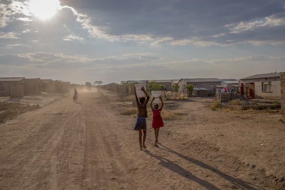 Zimbabwe Declares Disaster Over Drought as Crop Output Drops - Bloomberg