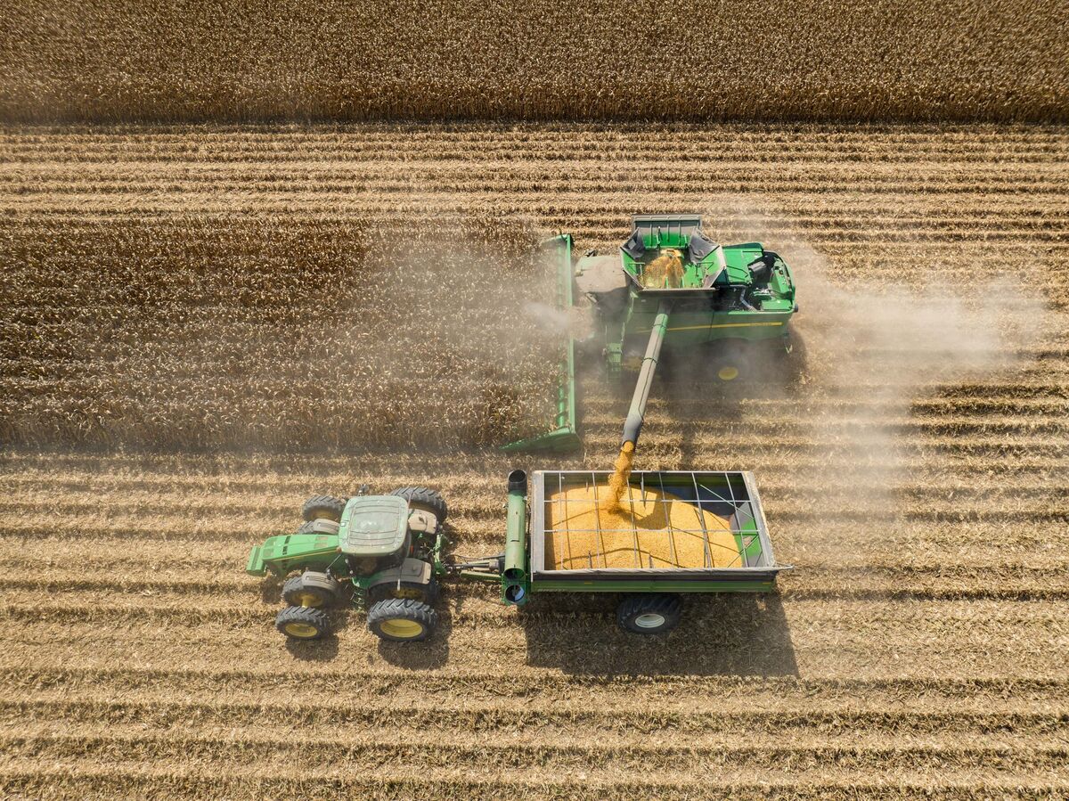 US Says Mexico’s Planned Corn-Import Law Change Insufficient - Bloomberg