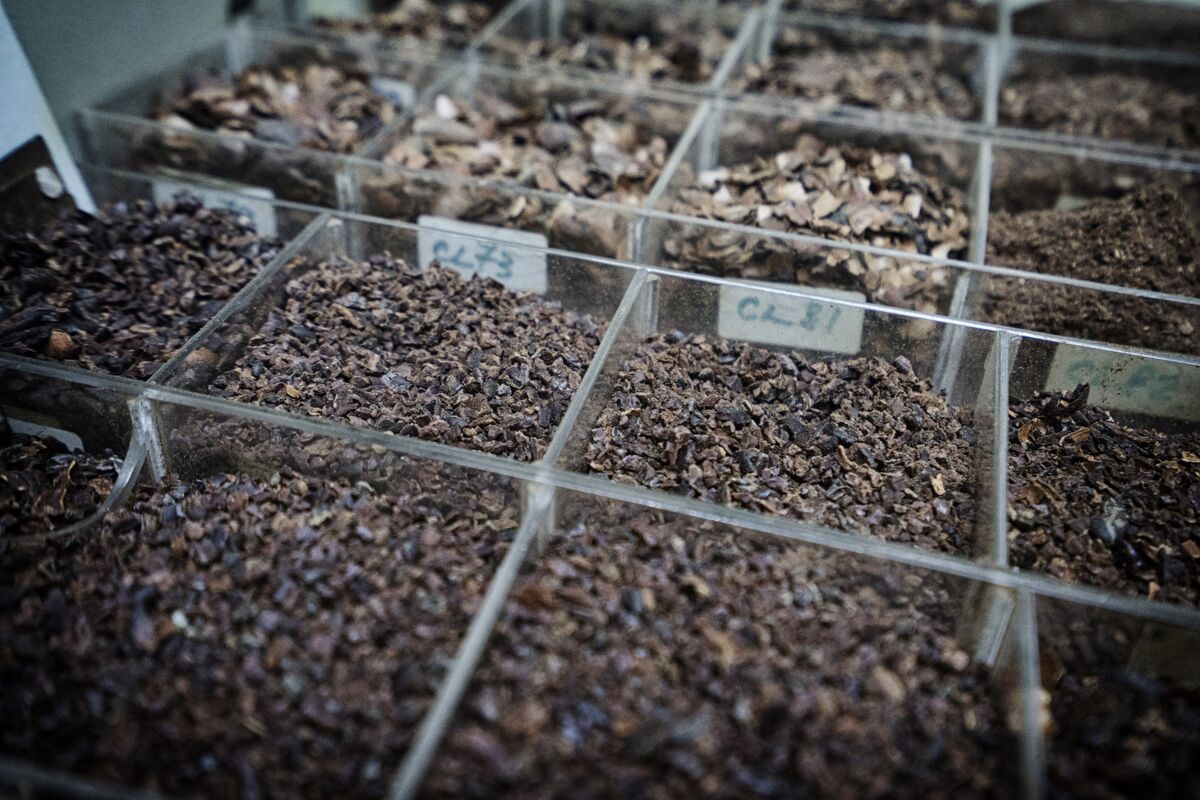 Olam Food’s Global Cocoa Head Gerard Manley Set to Retire After 25 ...