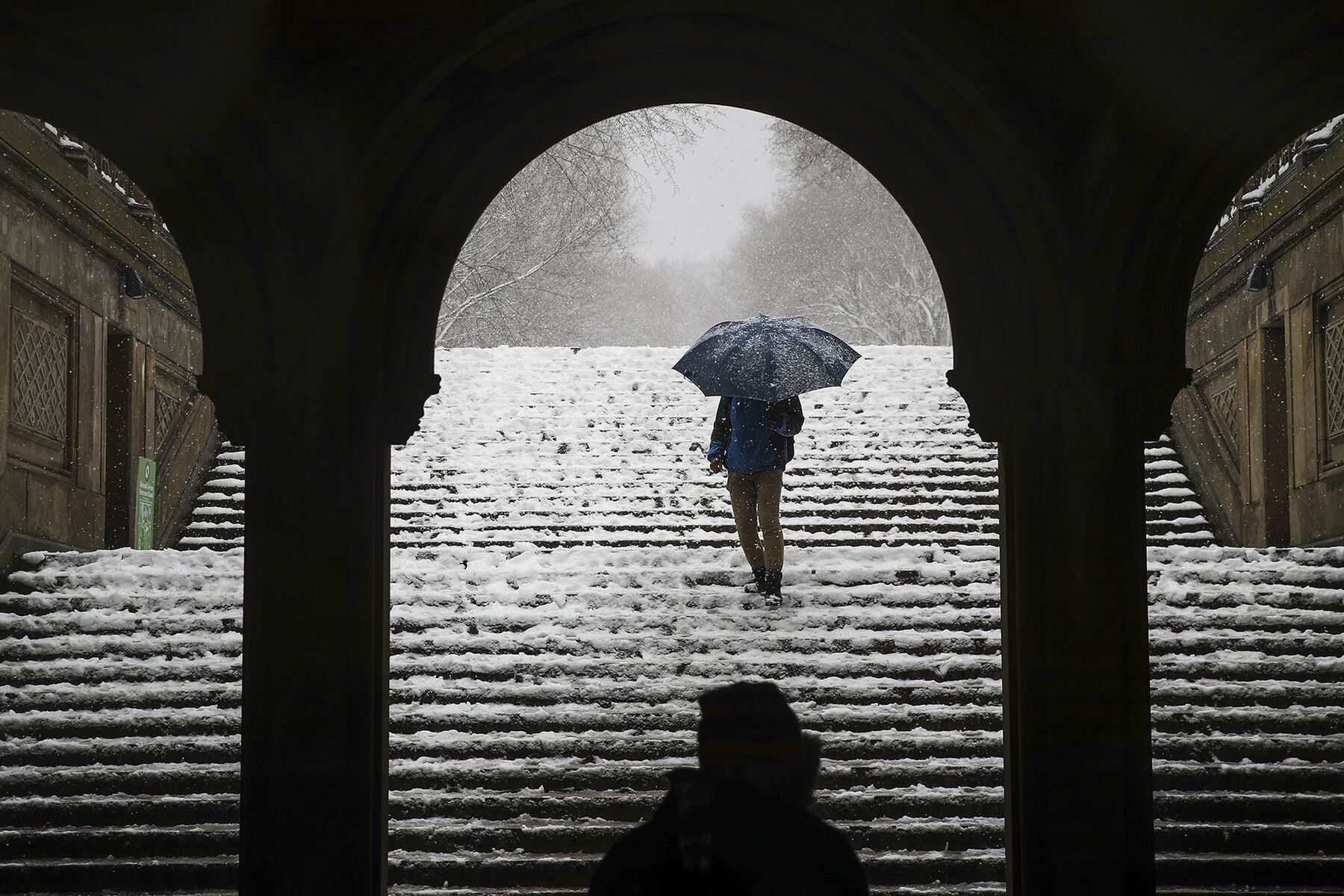 NYC Should Brace for Snow's Comeback Despite El Niño-Fueled Mild Winter ...