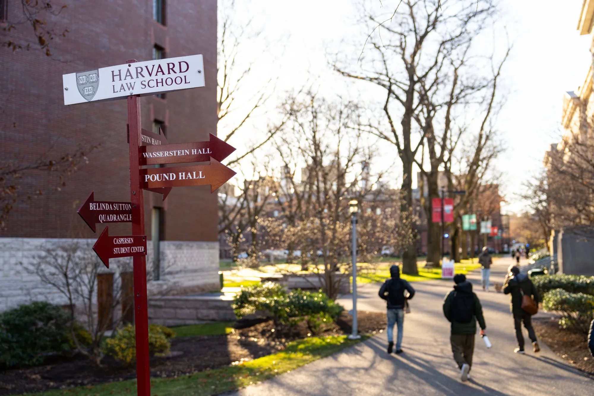Harvard Law Enrolls 50 Black First Years, Doubling 2024’s Slump - Bloomberg