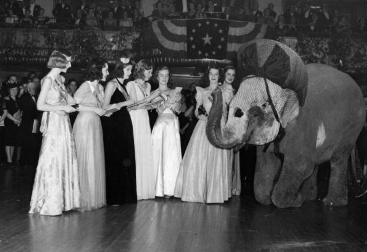 Paleoconservatism Is Back - Bloomberg