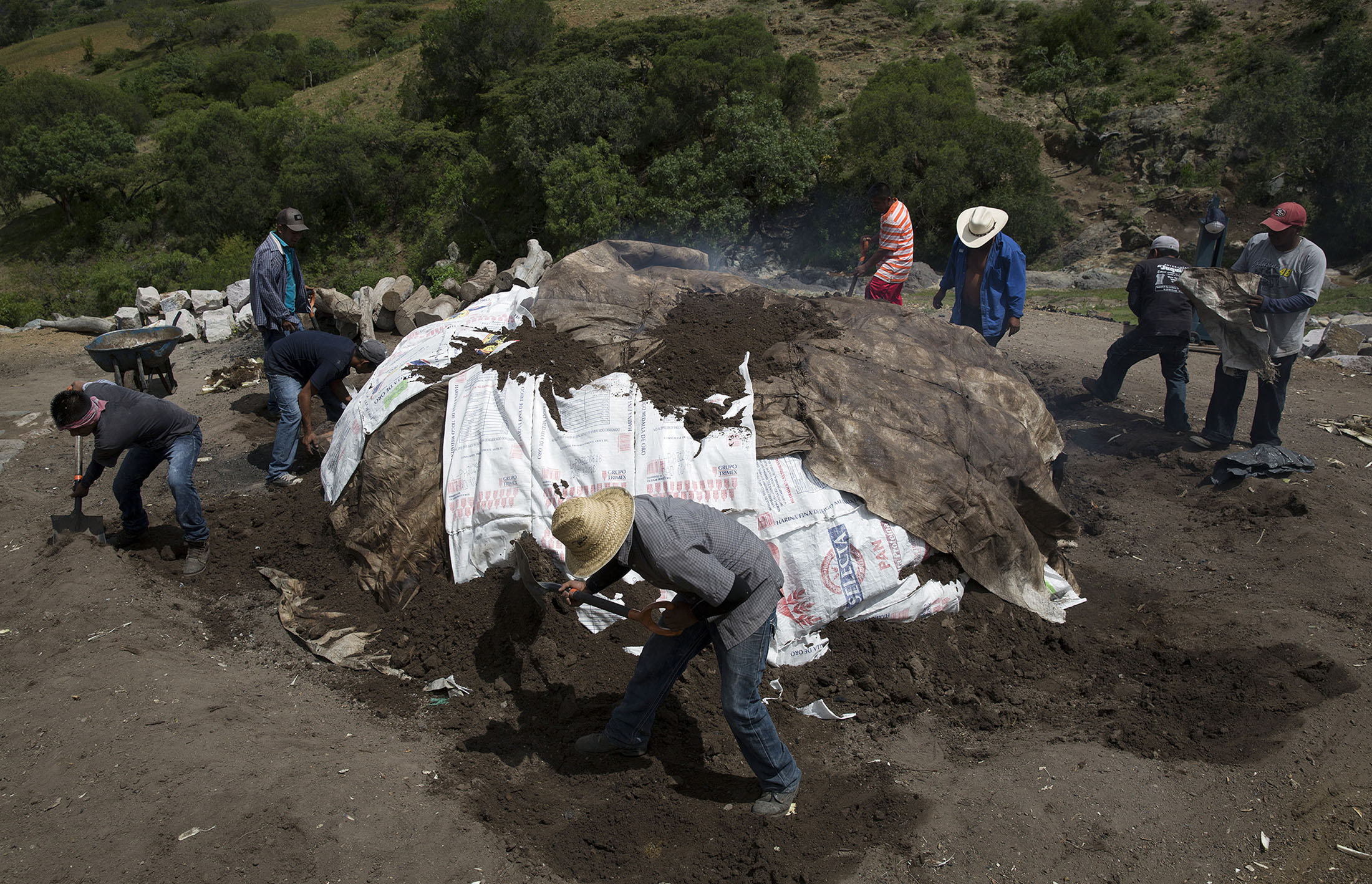 Meet Tequila's Smokin' Hot Cousin: Mezcal - Bloomberg
