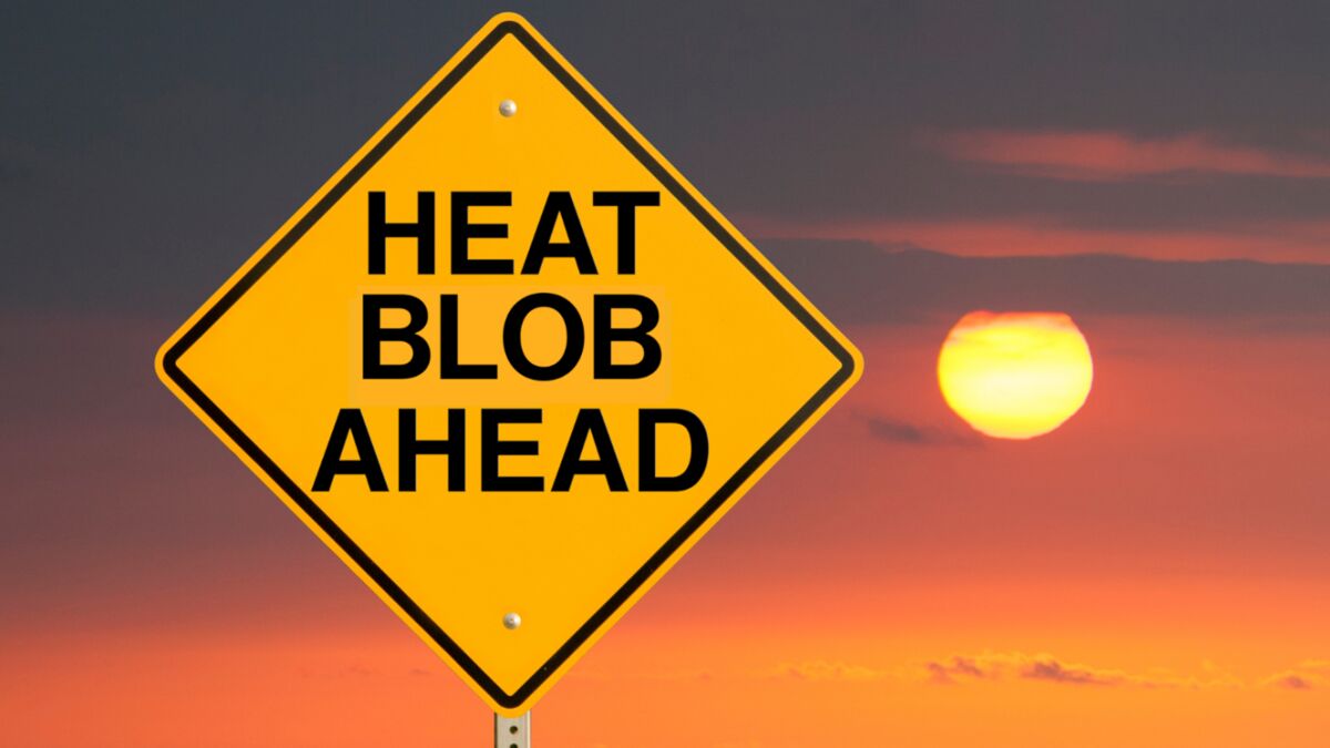 Jessica Karl - Journalist Profile - Intelligent Relations