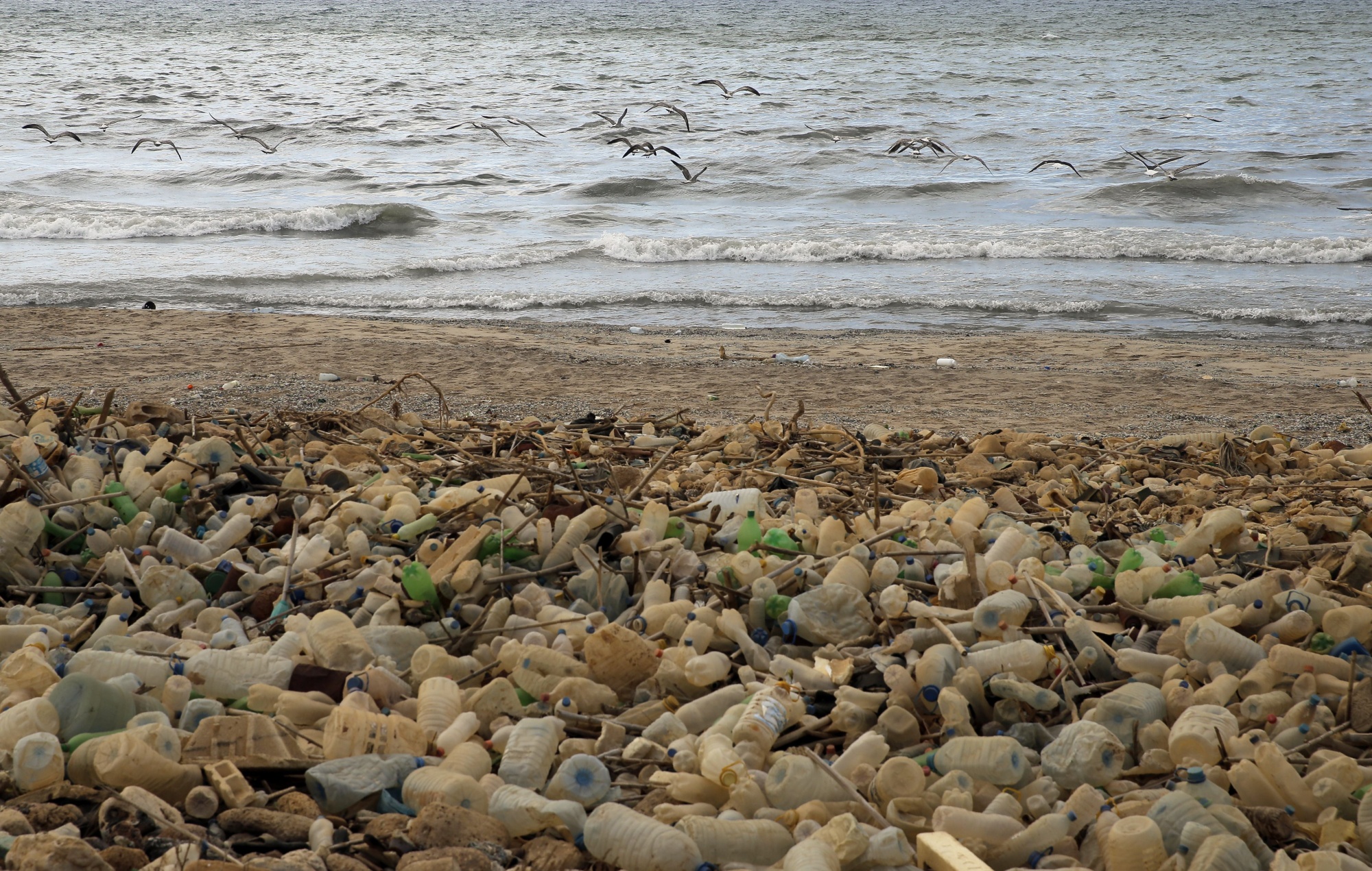 Plastic in the Oceans: Marine Pollution Is a Growing Problem - Bloomberg
