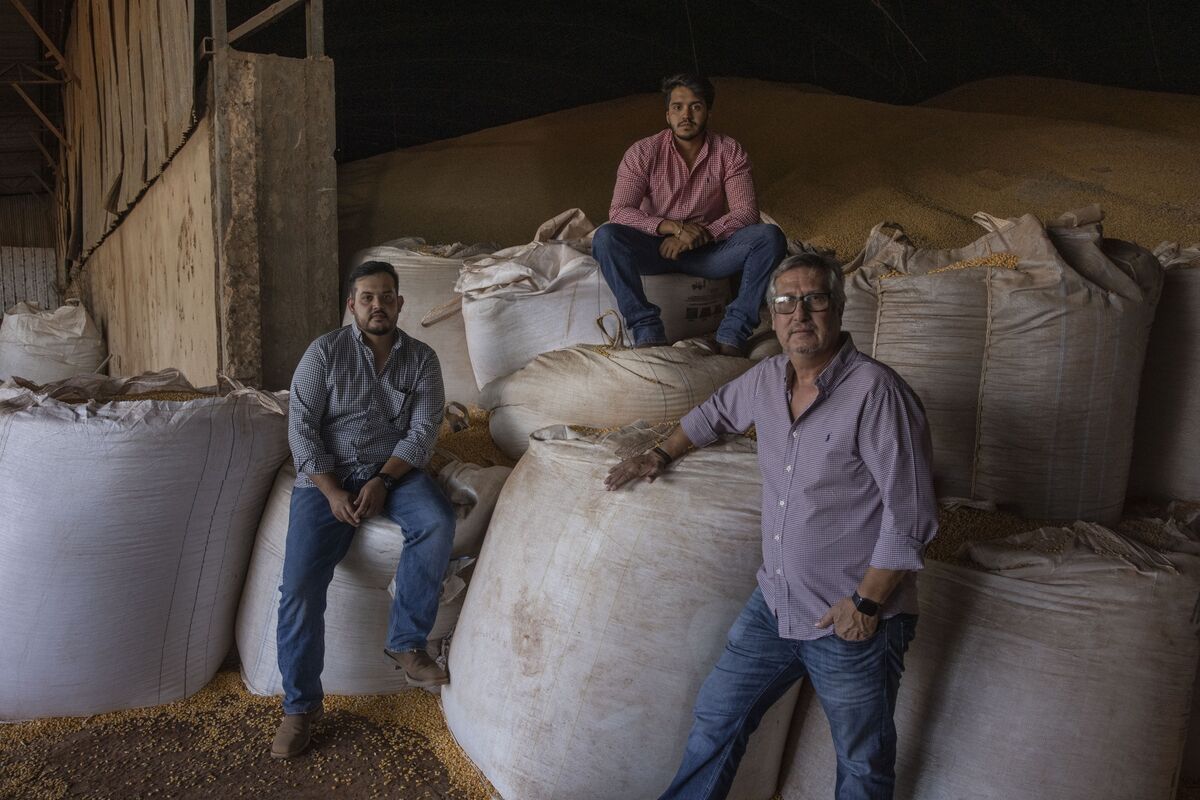 Farming Is Hip in Brazil, Where a New Generation Is Outpacing the US ...