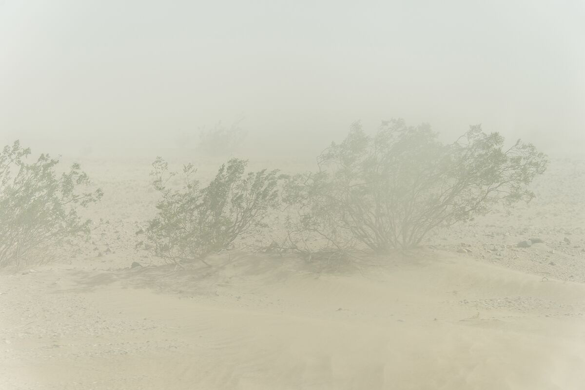Hurricane-Force Wind Gusts Whip Across Central US, Including Texas ...